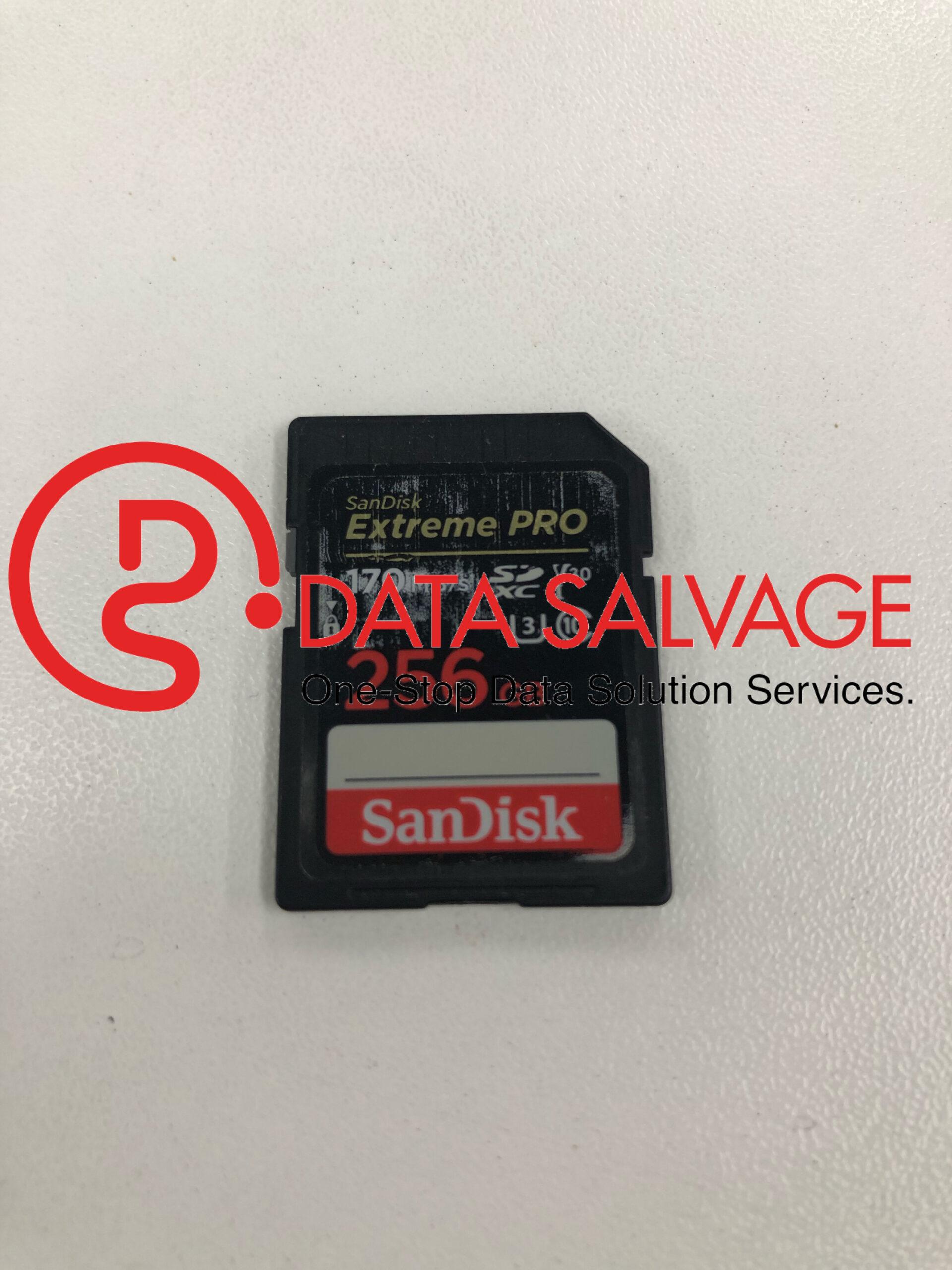 パソコンへ転送中に消えてしまった動画データの復旧 - データ復旧・RAID復元なら自社ラボ完備のデータサルベージ｜重度障害も全国対応